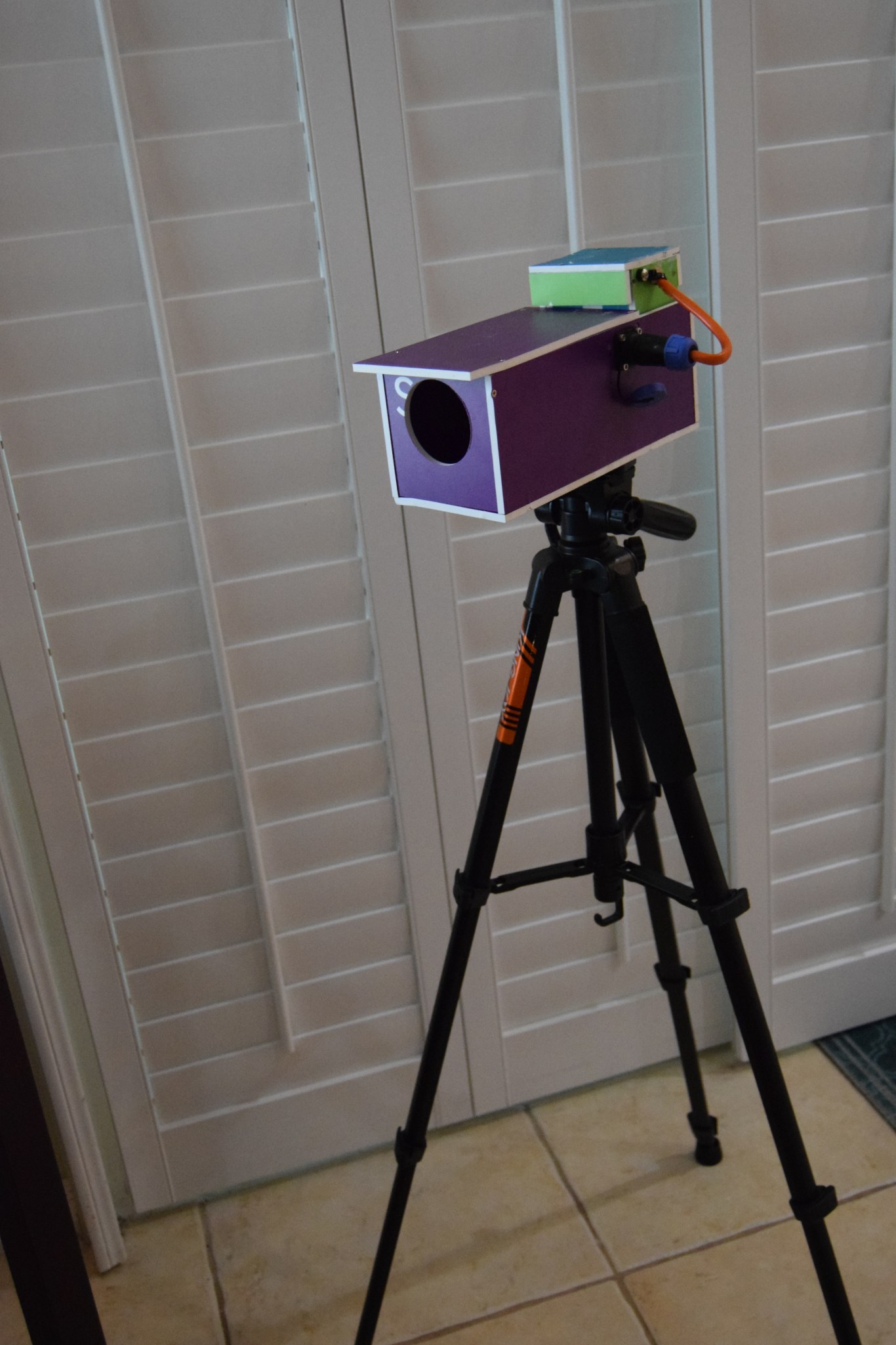 Florida Black Bears – Animal Enrichment Systems