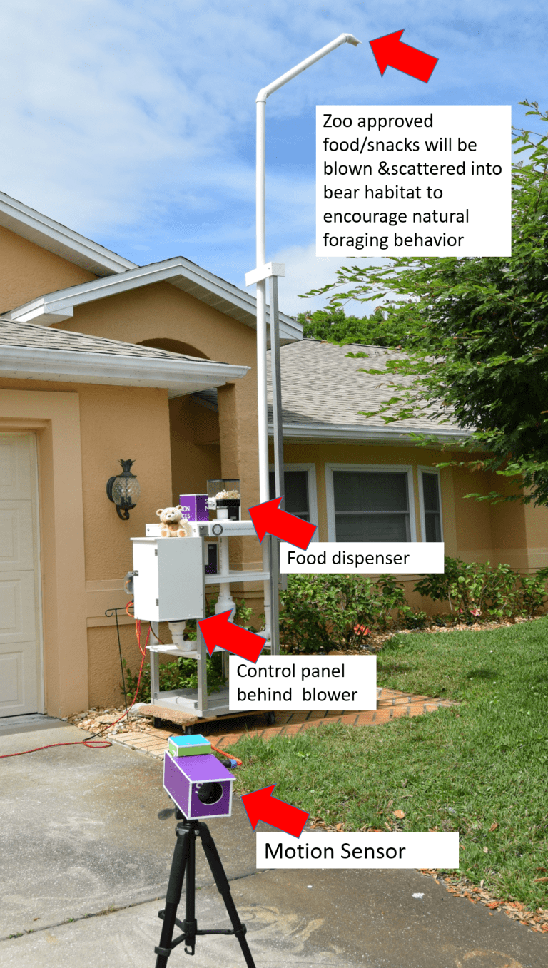 Florida Black Bears – Animal Enrichment Systems