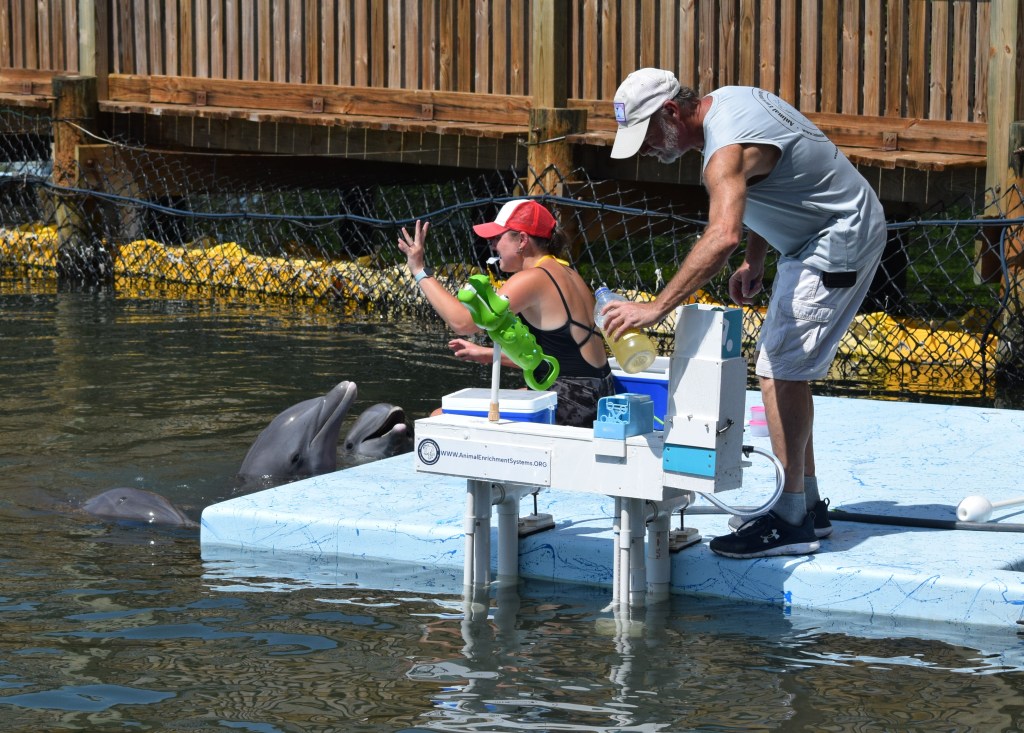 Bottlenose Dolphins – Animal Enrichment Systems