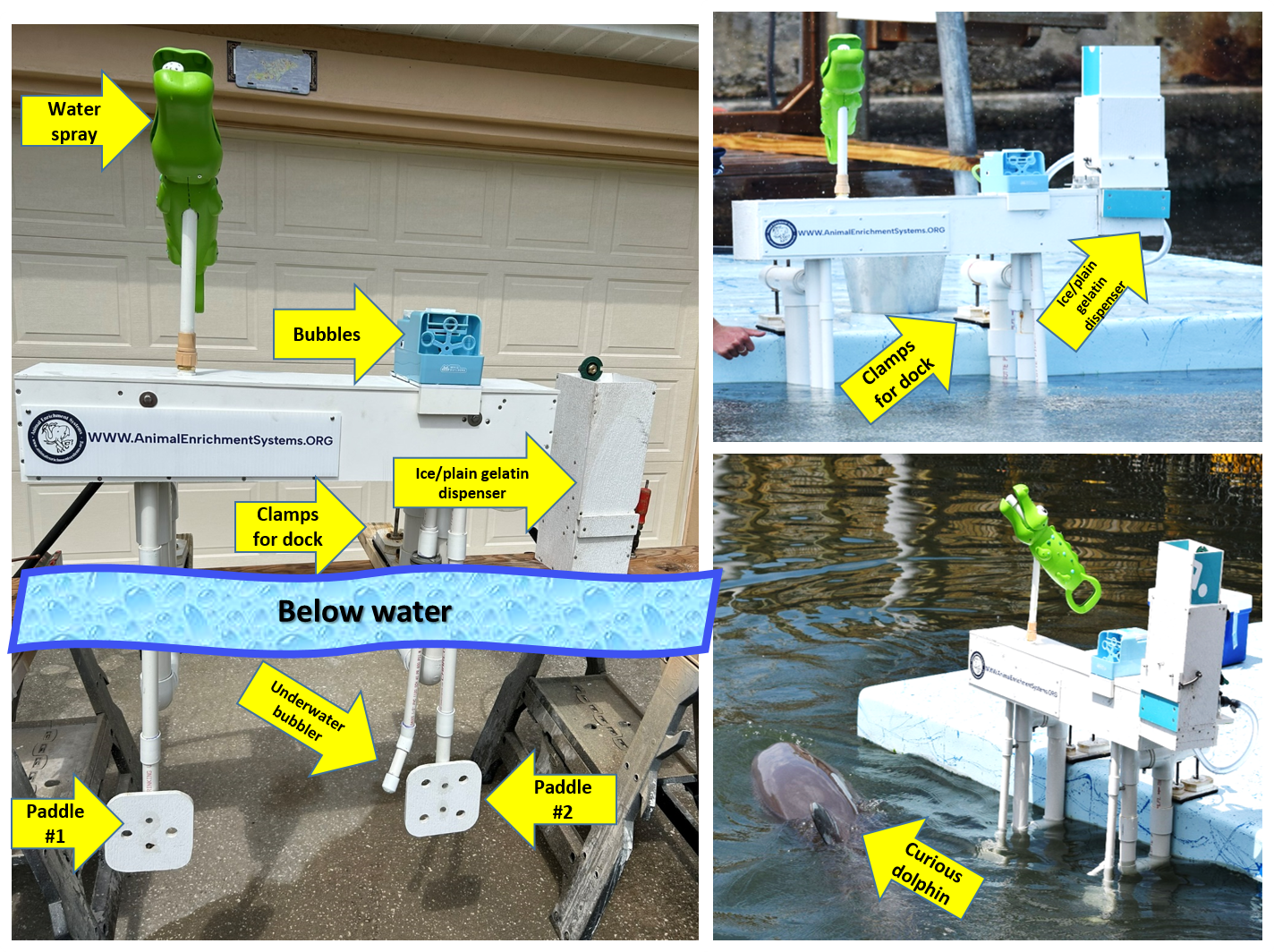 Introducing the new and improved DESY (Dolphin Enrichment System ...